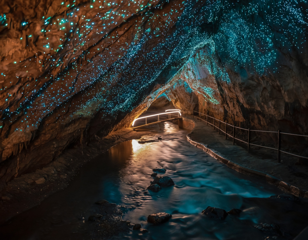 Waitomo, ahol a lárvák világítanak a barlangban – Csámborgó